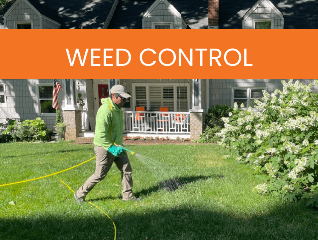 Lawn Care & Weed Control In Atlanta GA | Simply Green Lawn Care
